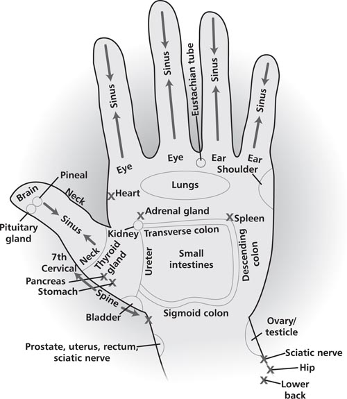 Reflexology Charts – Do It And How