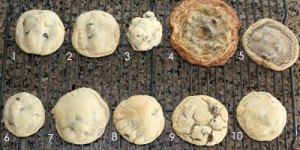 What’s Wrong With Your Cookies? – Do It And How