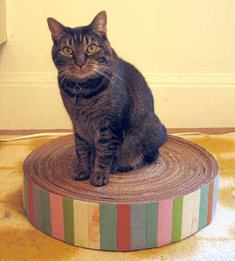 Homemade Cat Scratching Circle – Do It And How