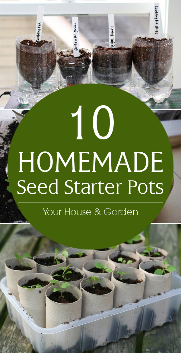 Recycled Seed Starters – Do It And How