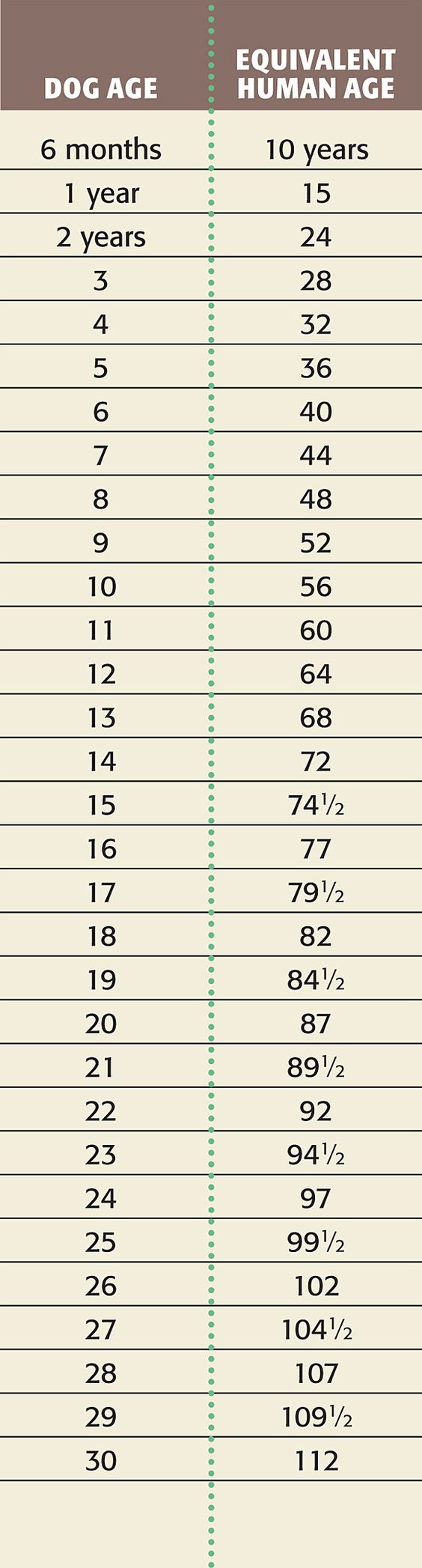 Dog Years Chart – Do It And How