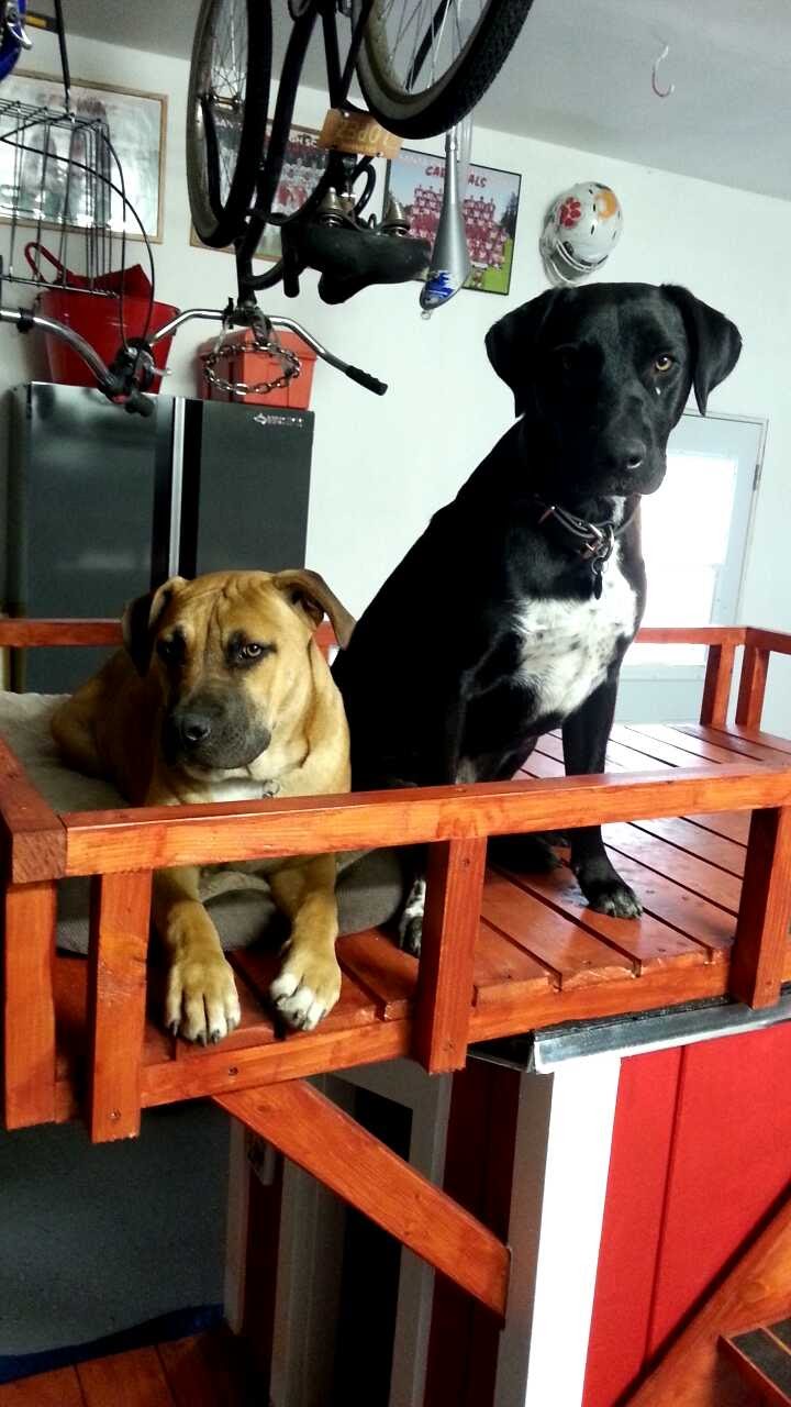 Fire Station Dog House – Do It And How