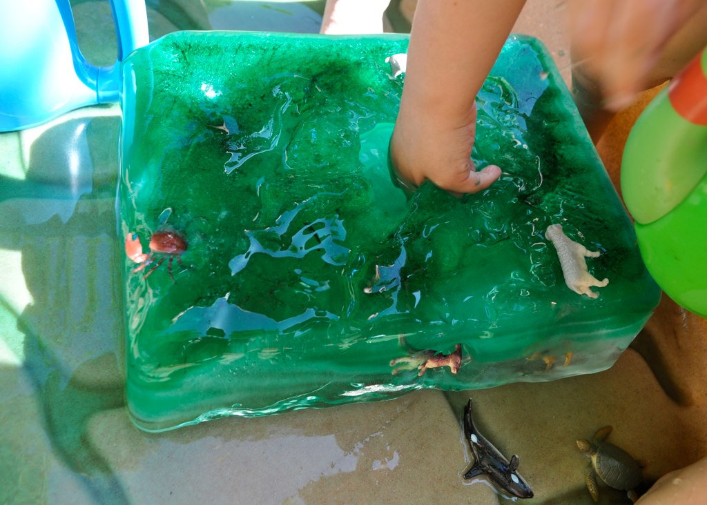 Ice Block Animal Rescue Activity – Do It And How