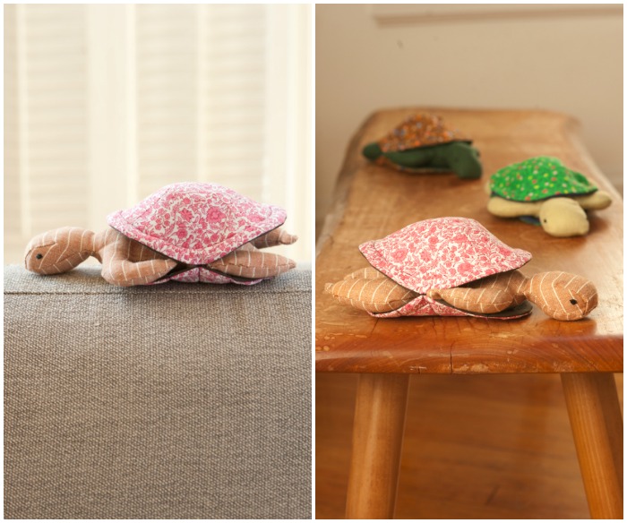 Peek-a-boo Turtle Project – Do It And How