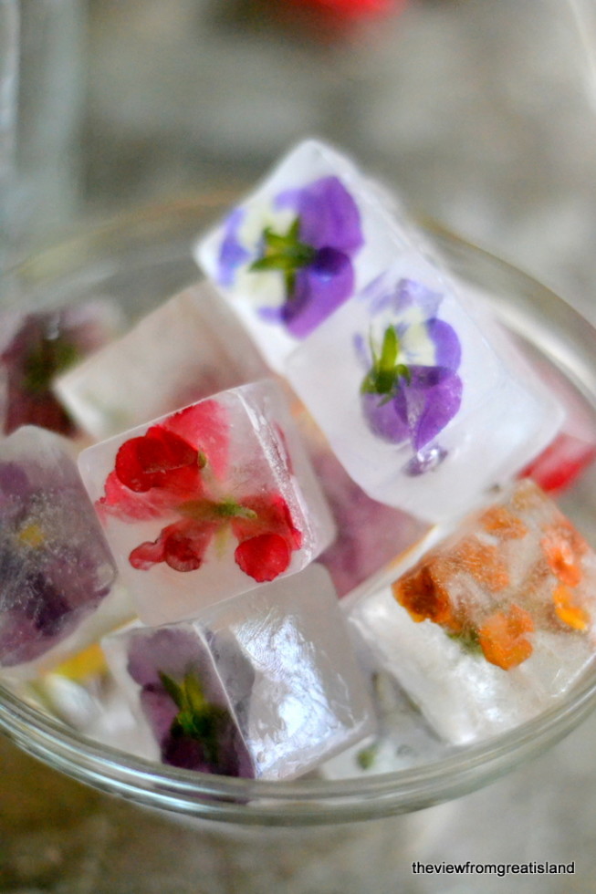 Edible Flower Ice Cubes – Do It And How