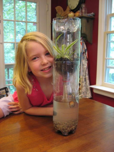 Eco-column – Do It And How