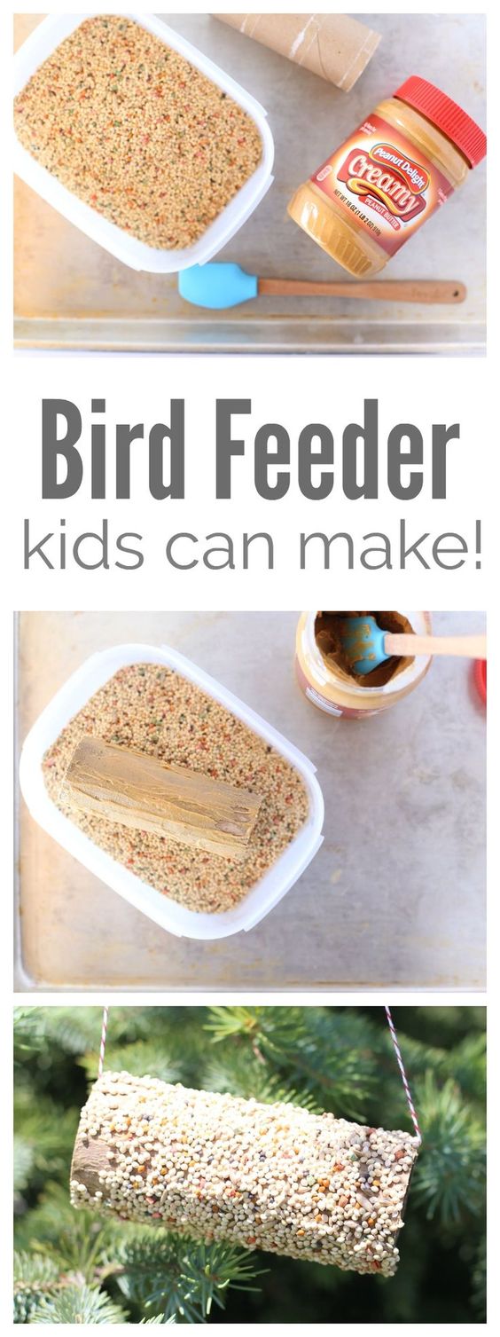 Bird Feeder Project – Do It And How