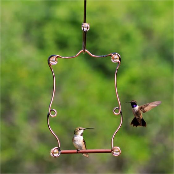 Hummingbird Perch – Do It And How