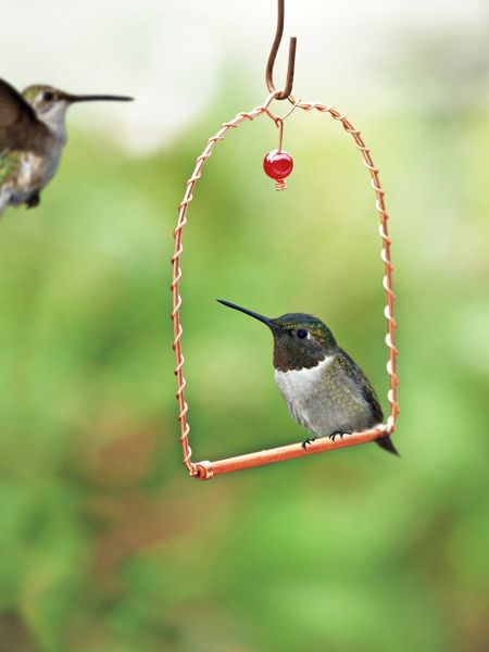 Hummingbird Perch – Do It And How