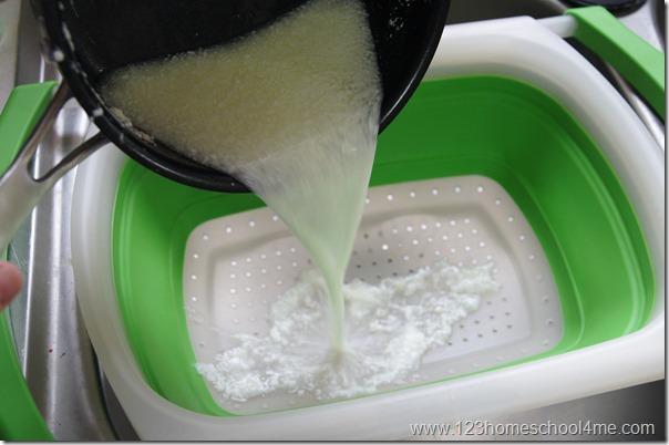 Make Plastic From Milk Experiment – Do It And How