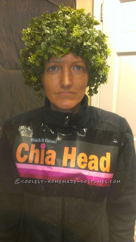 Chia Head Costume – Do It And How