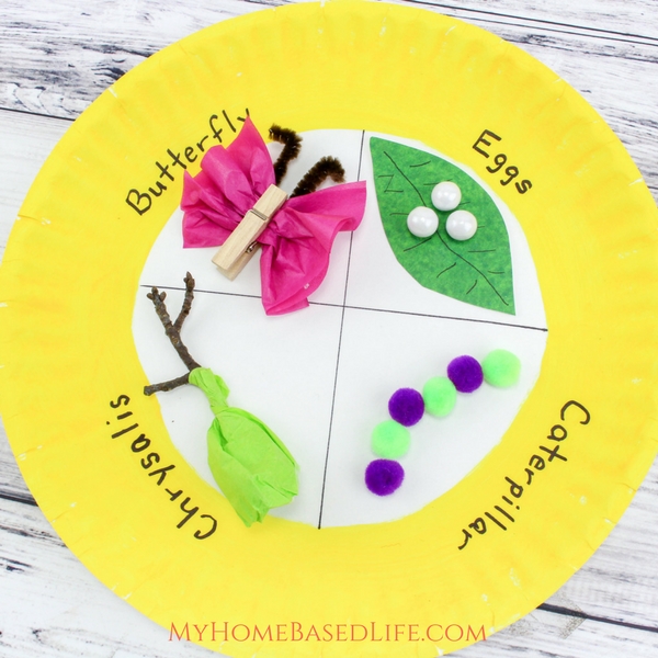 Butterfly Life Cycle Project – Do It And How