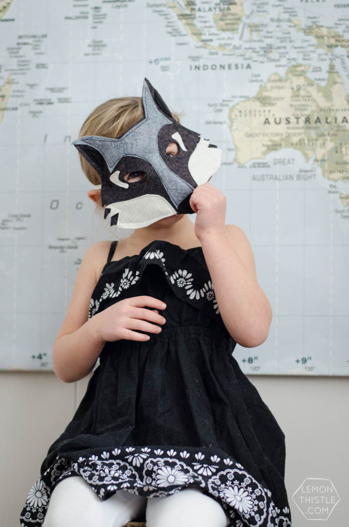Felt Animal Masks – Do It And How