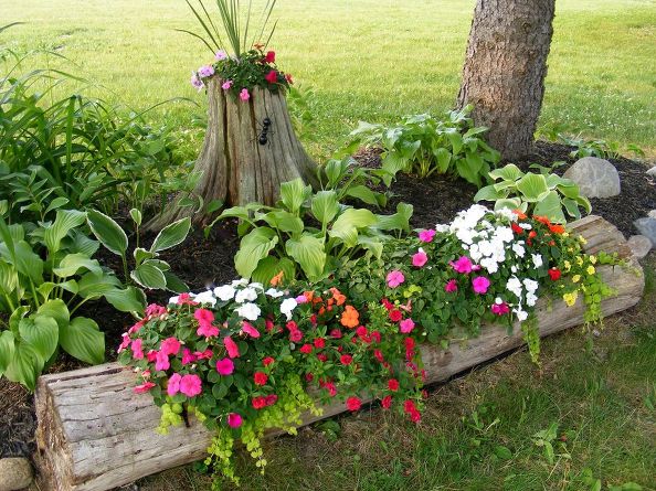 Tree Stump Planter – Do It And How