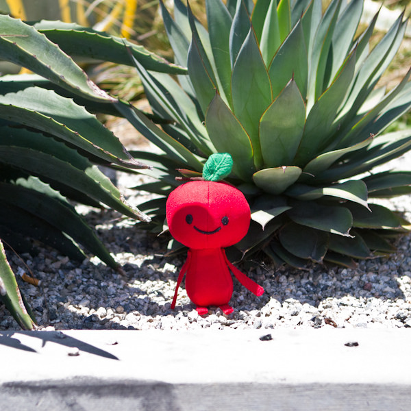 Plush Apple Toy – Do It And How