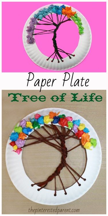 Paper Plate Tree of Life Project – Do It And How