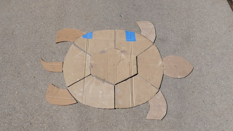 Turtle Stepping Stone – Do It And How