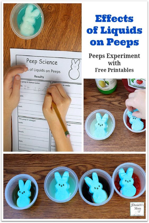 Peep Science Experiment – Do It And How