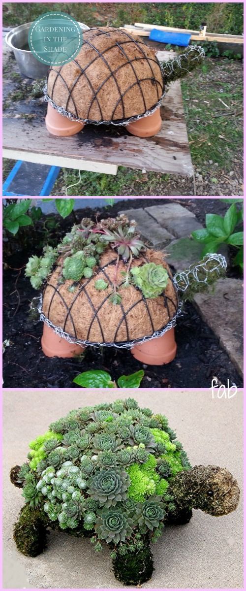 Succulent Turtle Topiary – Do It And How