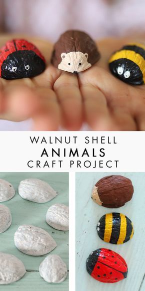 Walnut Shell Animal Crafts – Do It And How
