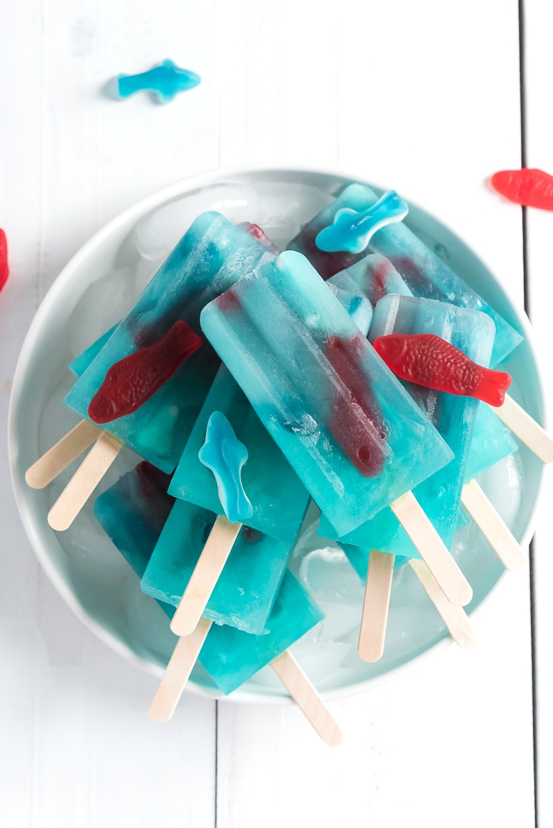 Shark and Fish Popsicle – Do It And How